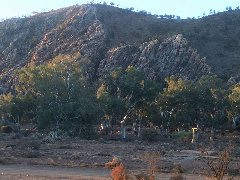 Sands: Sliding Rock Area • Flinders Ranges Field Naturalists