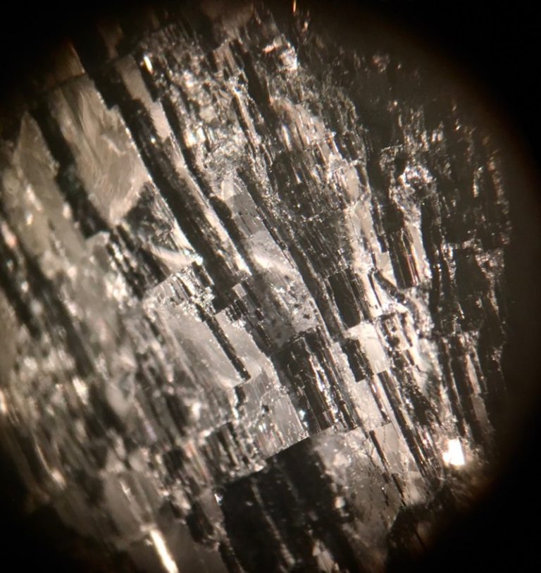 Galena: Strzelecki Track • Flinders Ranges Field Naturalists