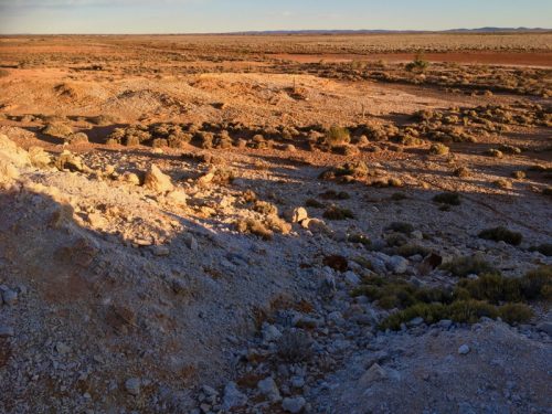 Quartz outcrop • Flinders Ranges Field Naturalists
