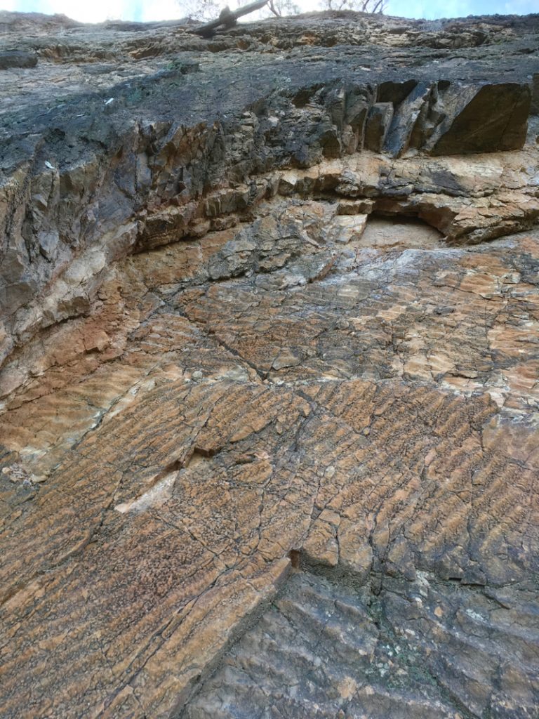 Geology Archives • Page 5 of 12 • Flinders Ranges Field Naturalists