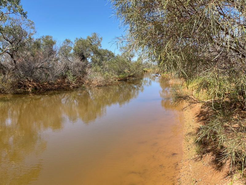 River Cooba • Flinders Ranges Field Naturalists