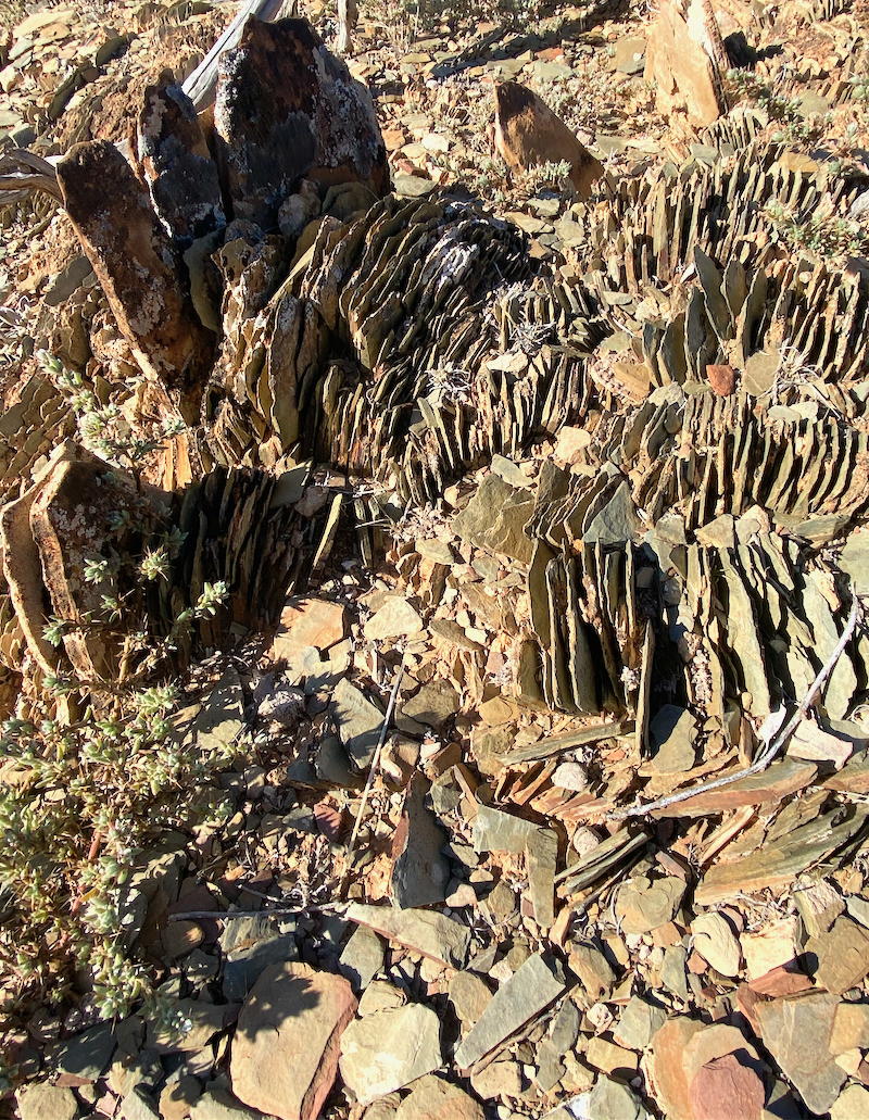 Geology Archives • Flinders Ranges Field Naturalists