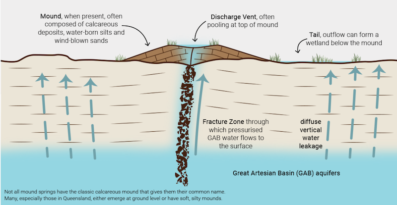Natural Spring Diagram