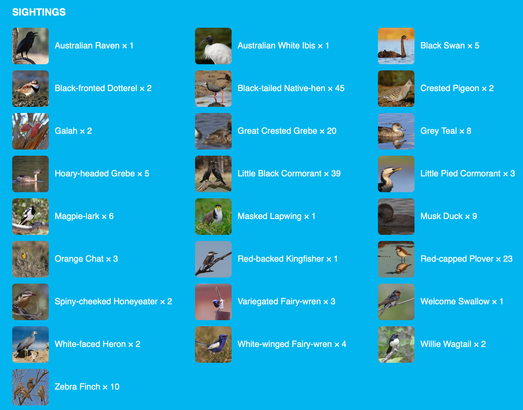 Aussie Bird Count • Flinders Ranges Field Naturalists